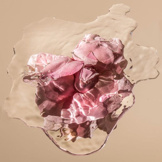 THE ROSE | MEHR ALS EINE BLUME – NASRIN fragrances